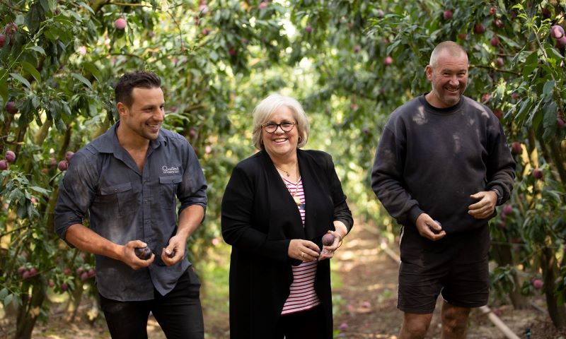 Home [metconnect.metcash.com]